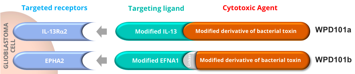 WPD Pharmaceuticals - English