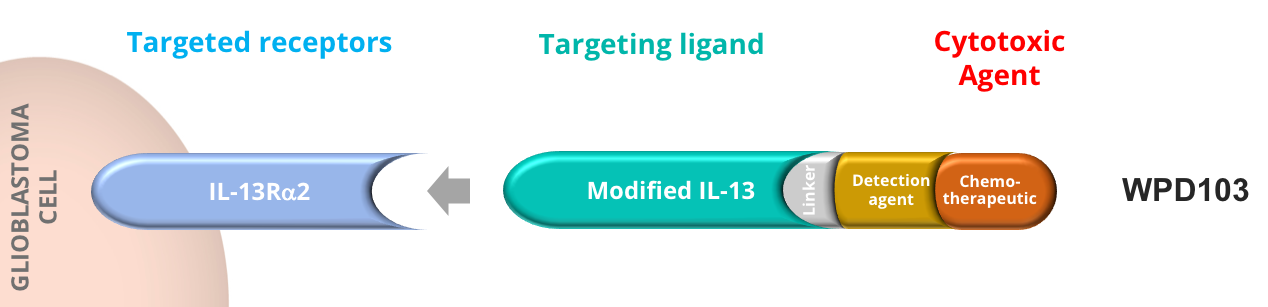 WPD Pharmaceuticals - English