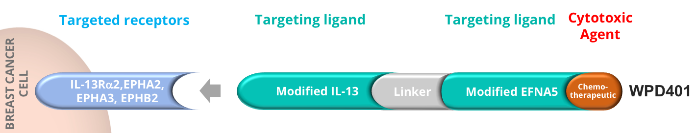 WPD Pharmaceuticals - English